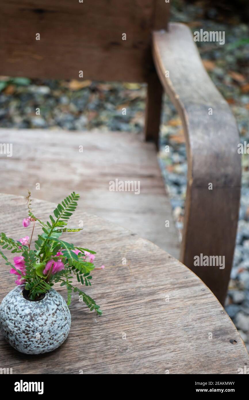 Green leaf plant conservatory hi-res stock photography and images - Alamy