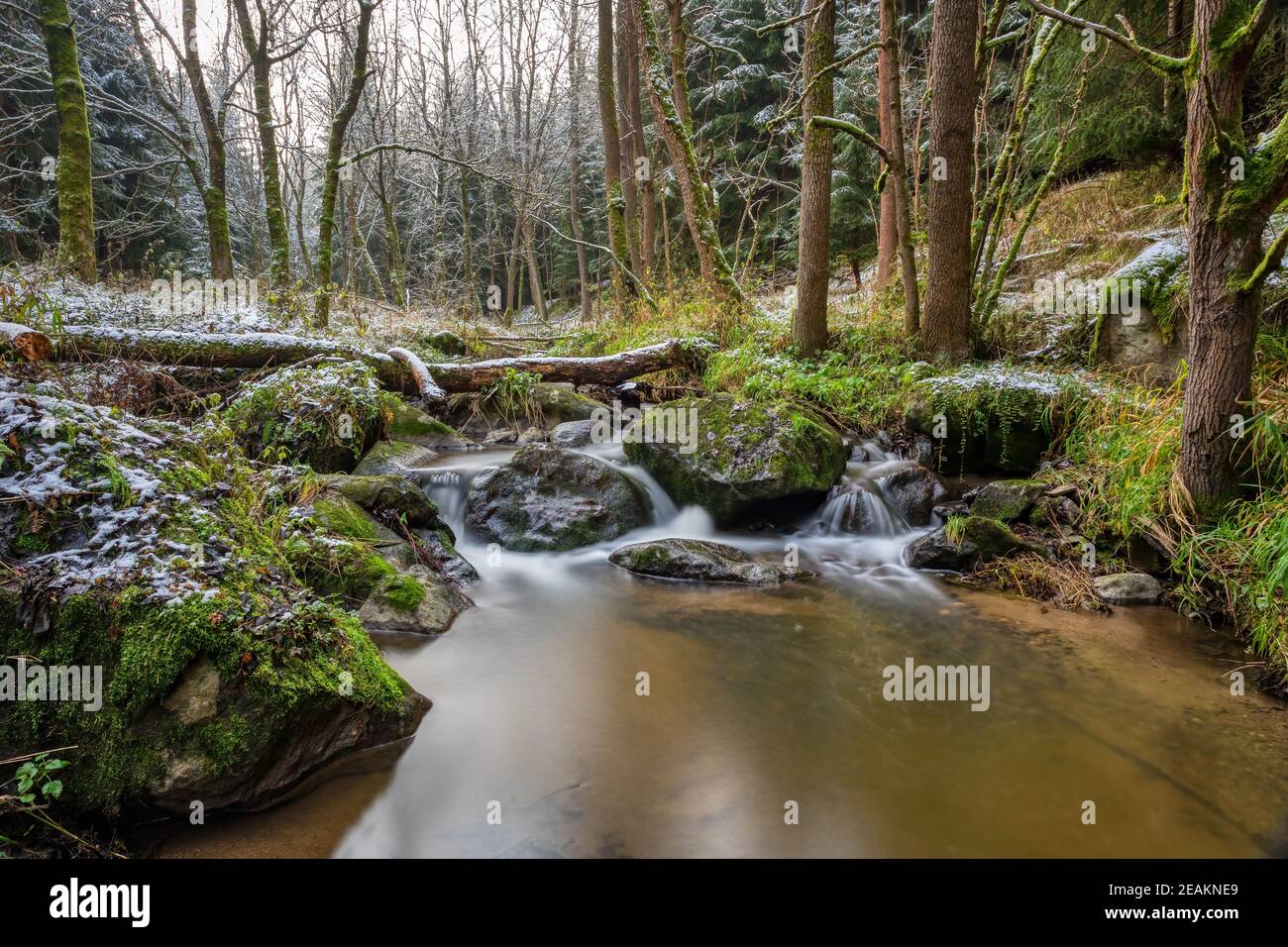 Highland creek hi-res stock photography and images - Alamy