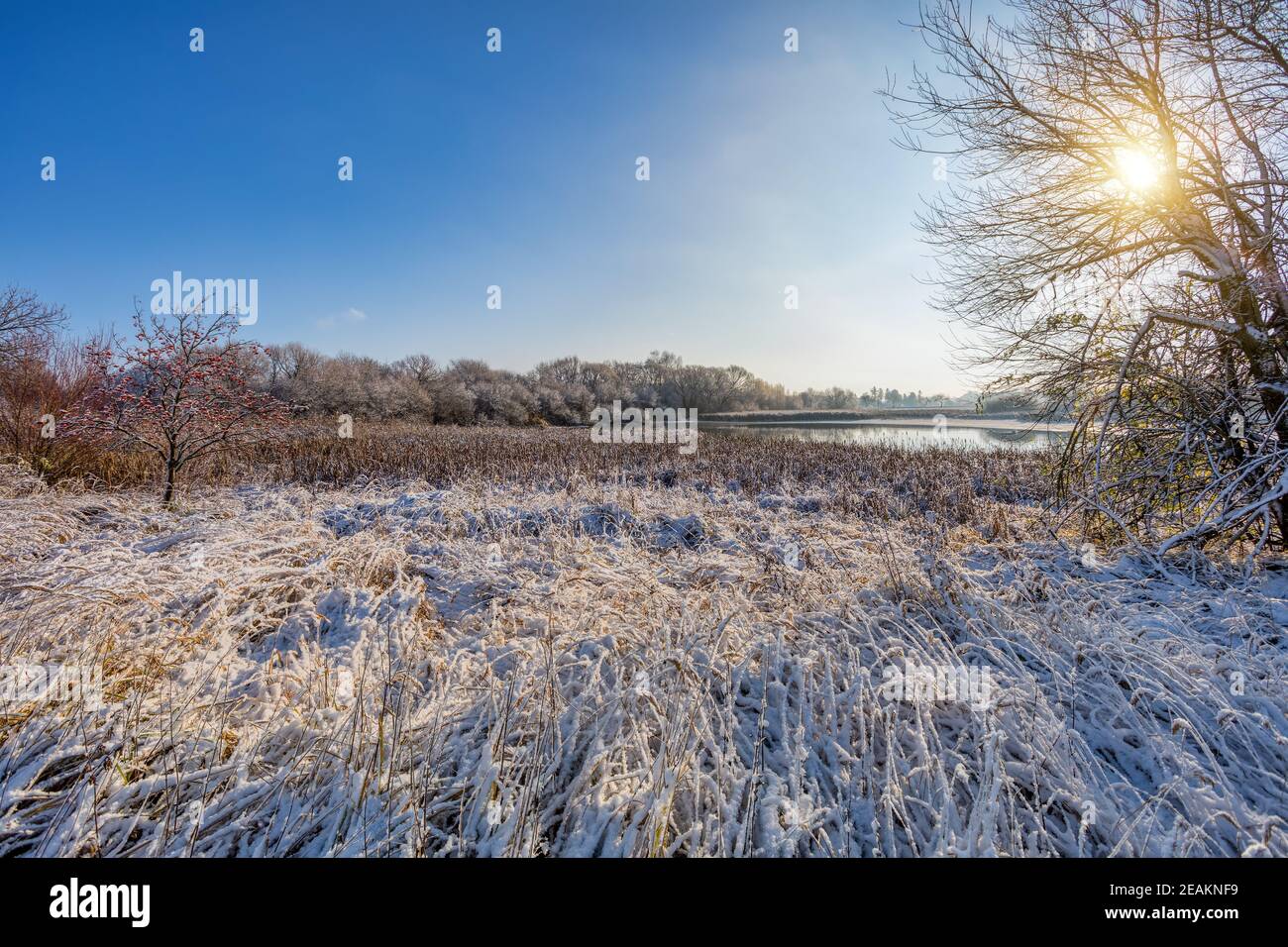 Cool fall morning hi-res stock photography and images - Alamy
