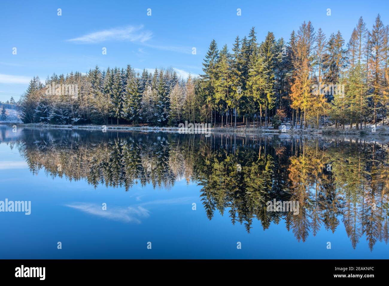 Reflections of tree hi-res stock photography and images - Alamy
