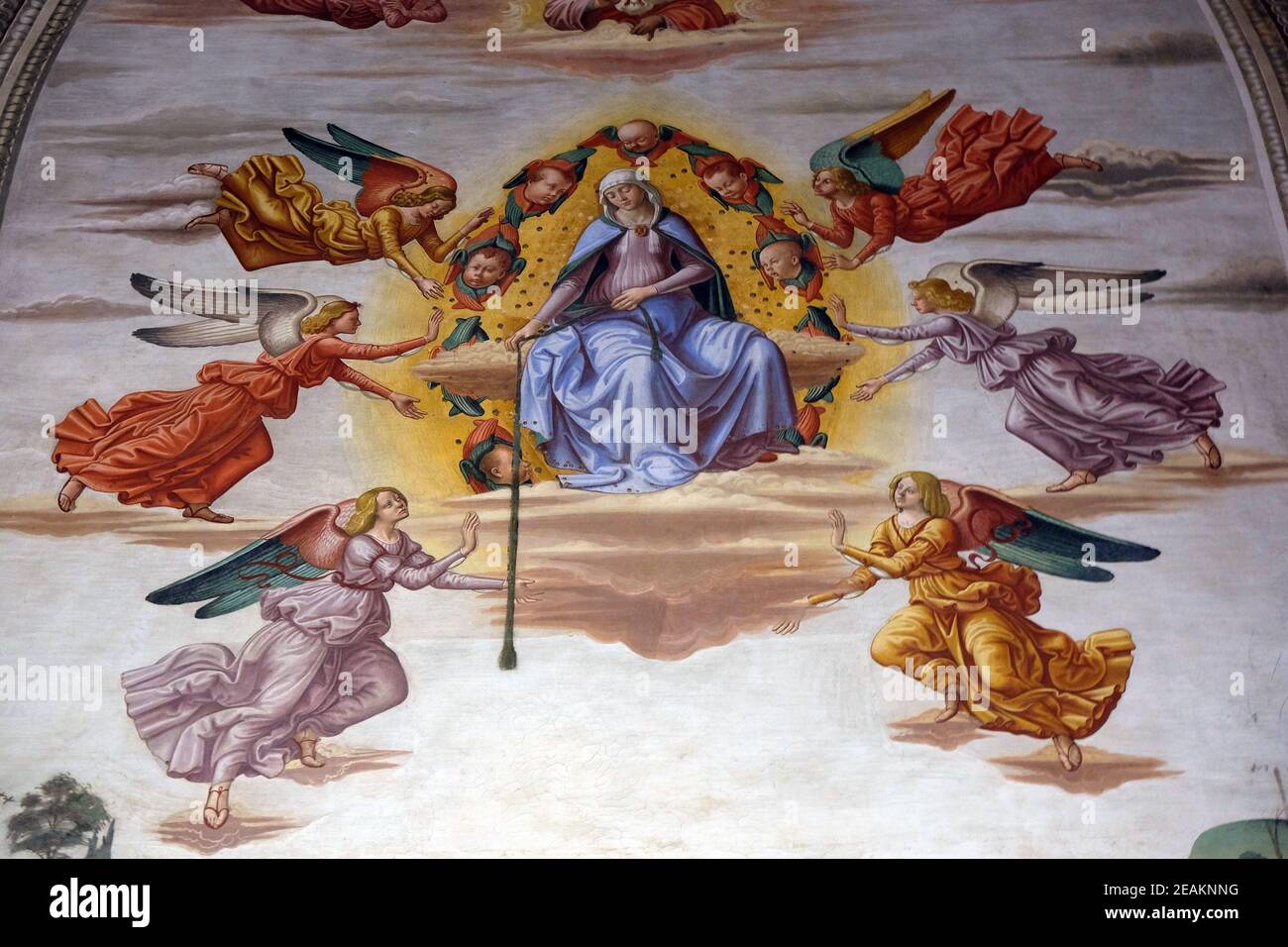 Madonna with the belt, fresco by Sebastiano Mainardi, Baroncelli Chapel ...