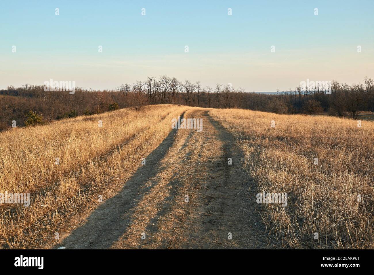 Countriside dirt road landscape, pale autumn Stock Photo - Alamy