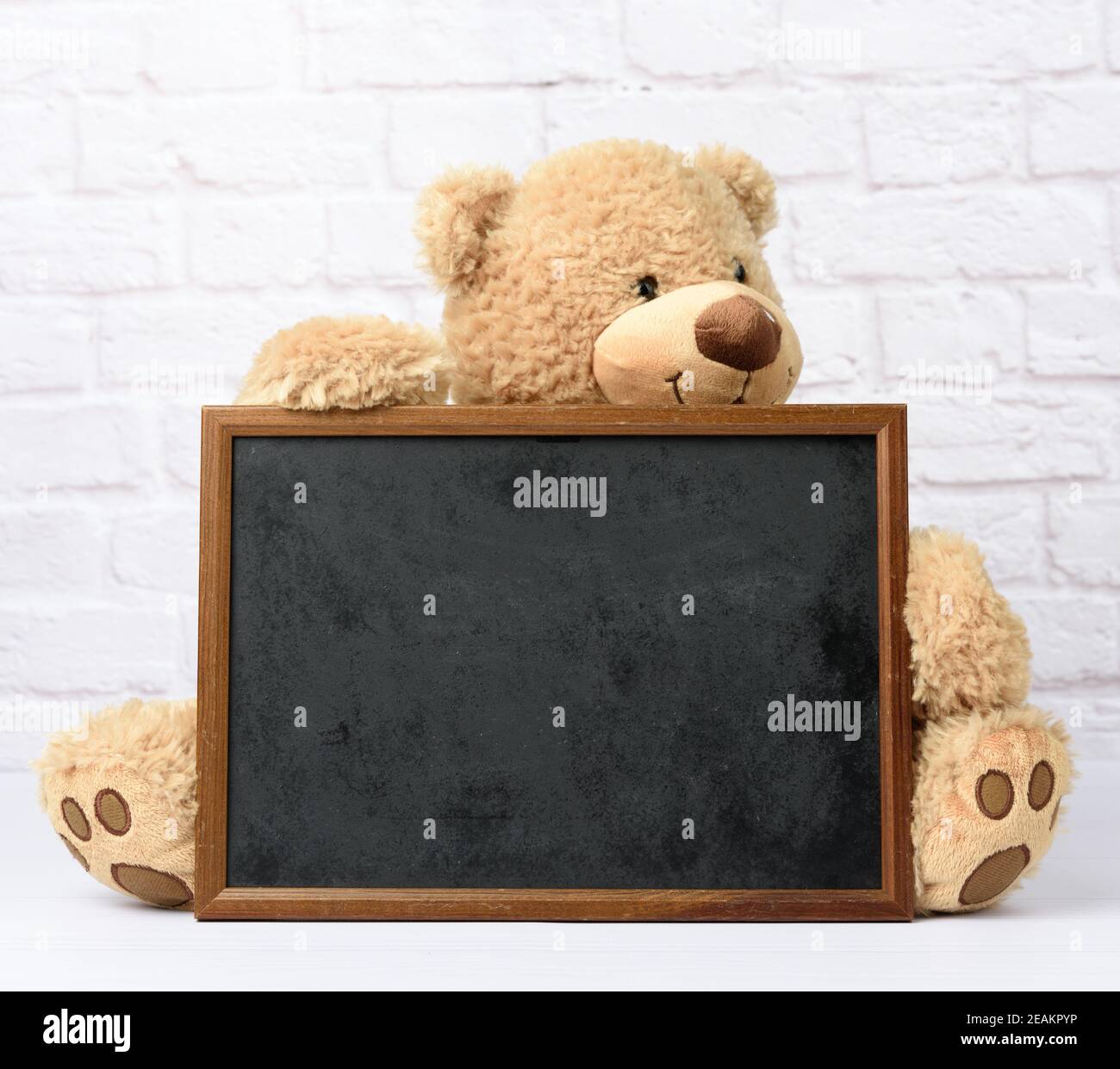 big teddy bear holding empty rectangular wooden frame against white ...