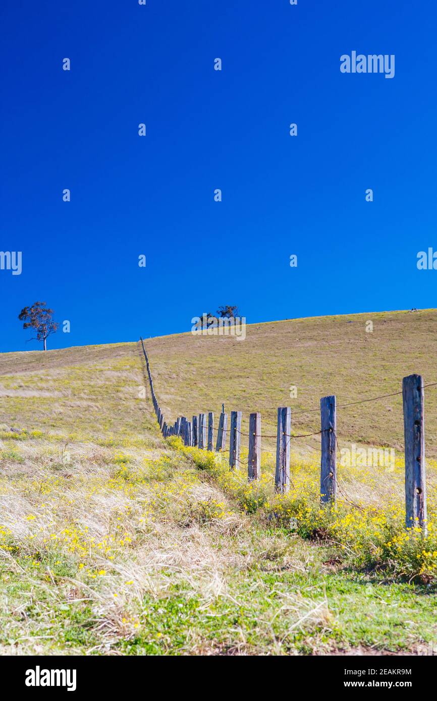 Hunter Valley Landscape in Australia Stock Photo - Alamy