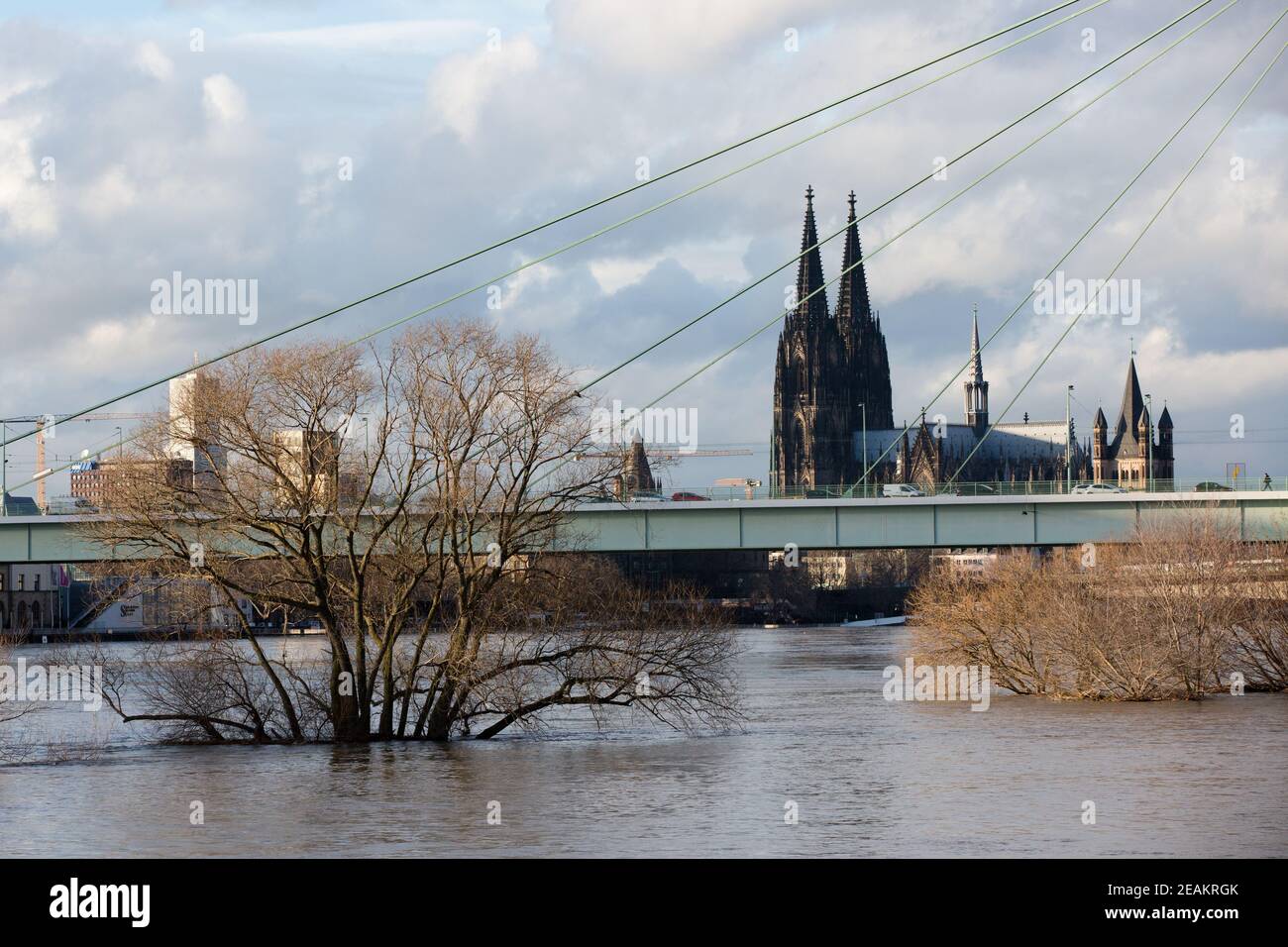 Flood In Cologne 2021, View From Poller Wiesen Downstream To The ...