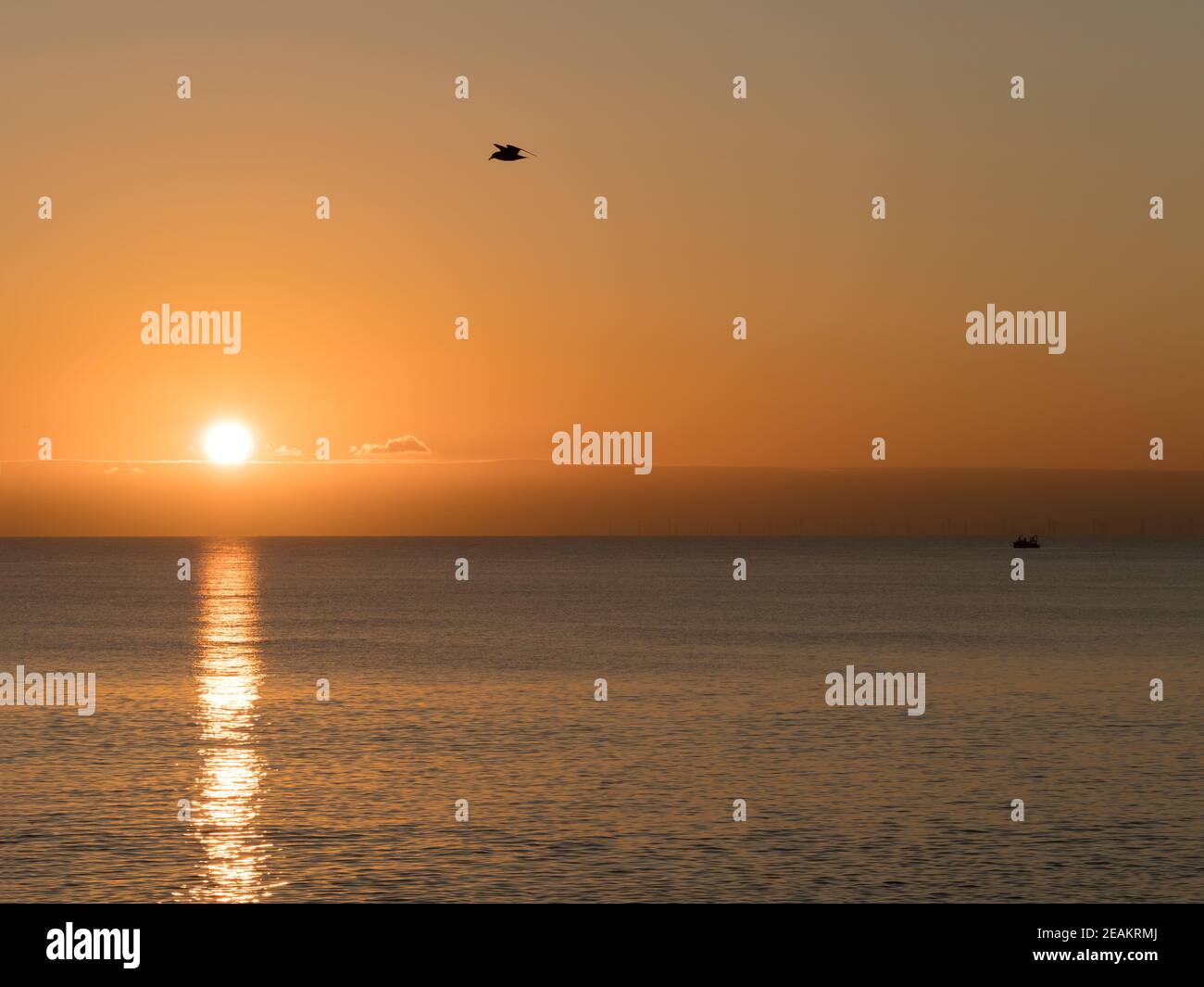 English channel boat sea hi-res stock photography and images - Alamy