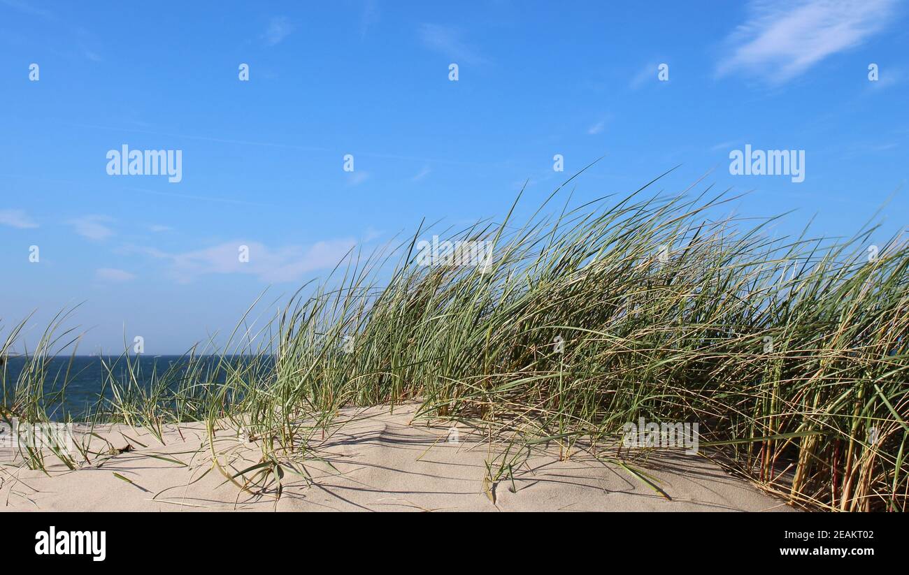 Dunaes hi-res stock photography and images - Alamy