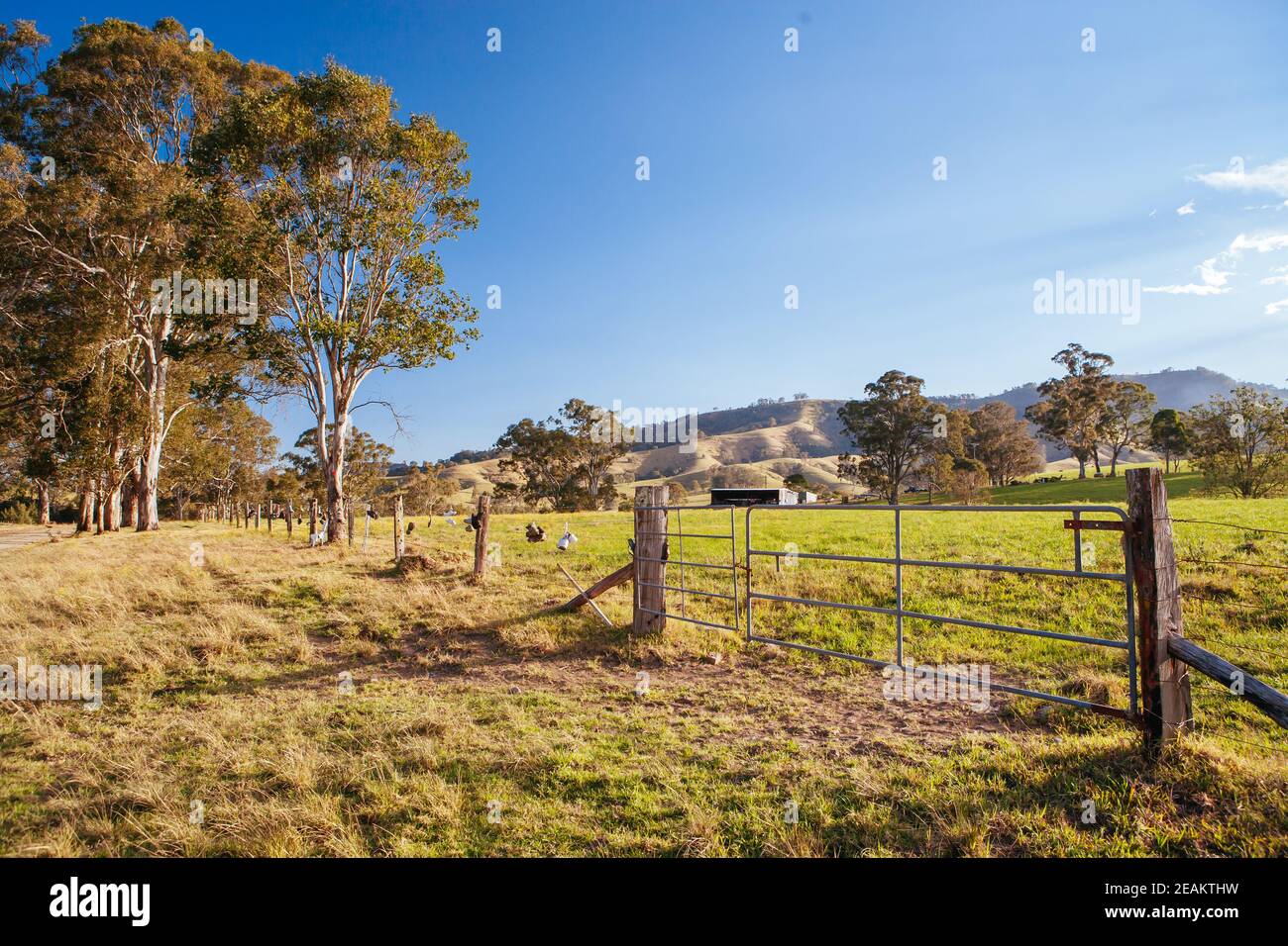 Hunter Valley Landscape in Australia Stock Photo - Alamy