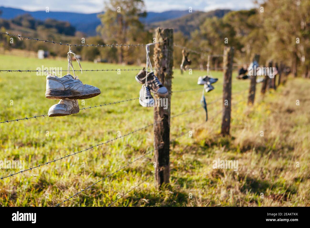 Hunter Valley Landscape in Australia Stock Photo - Alamy