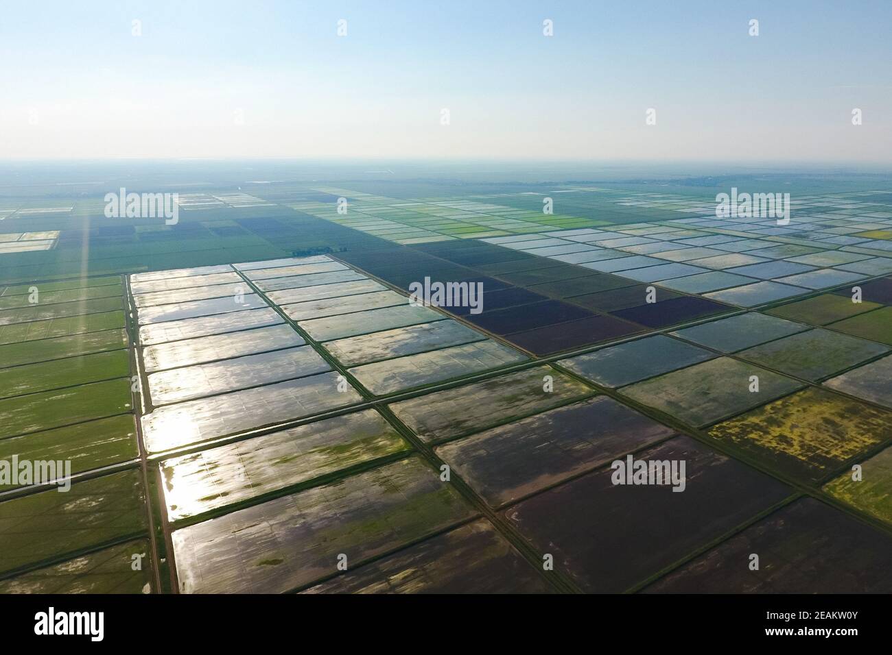 The rice fields are flooded with water. Landscape in front of the sun ...
