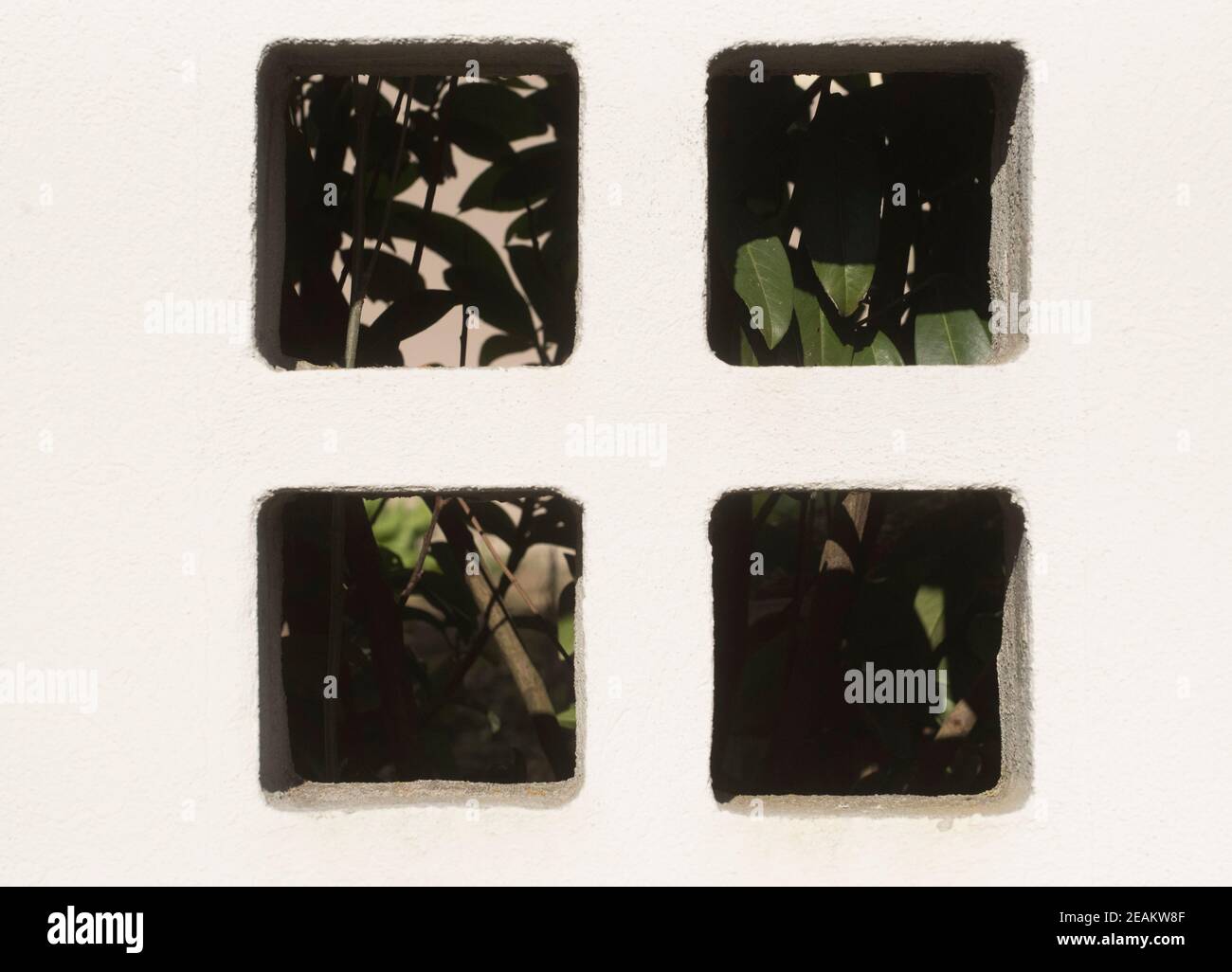 Vitality symbol hi-res stock photography and images - Alamy