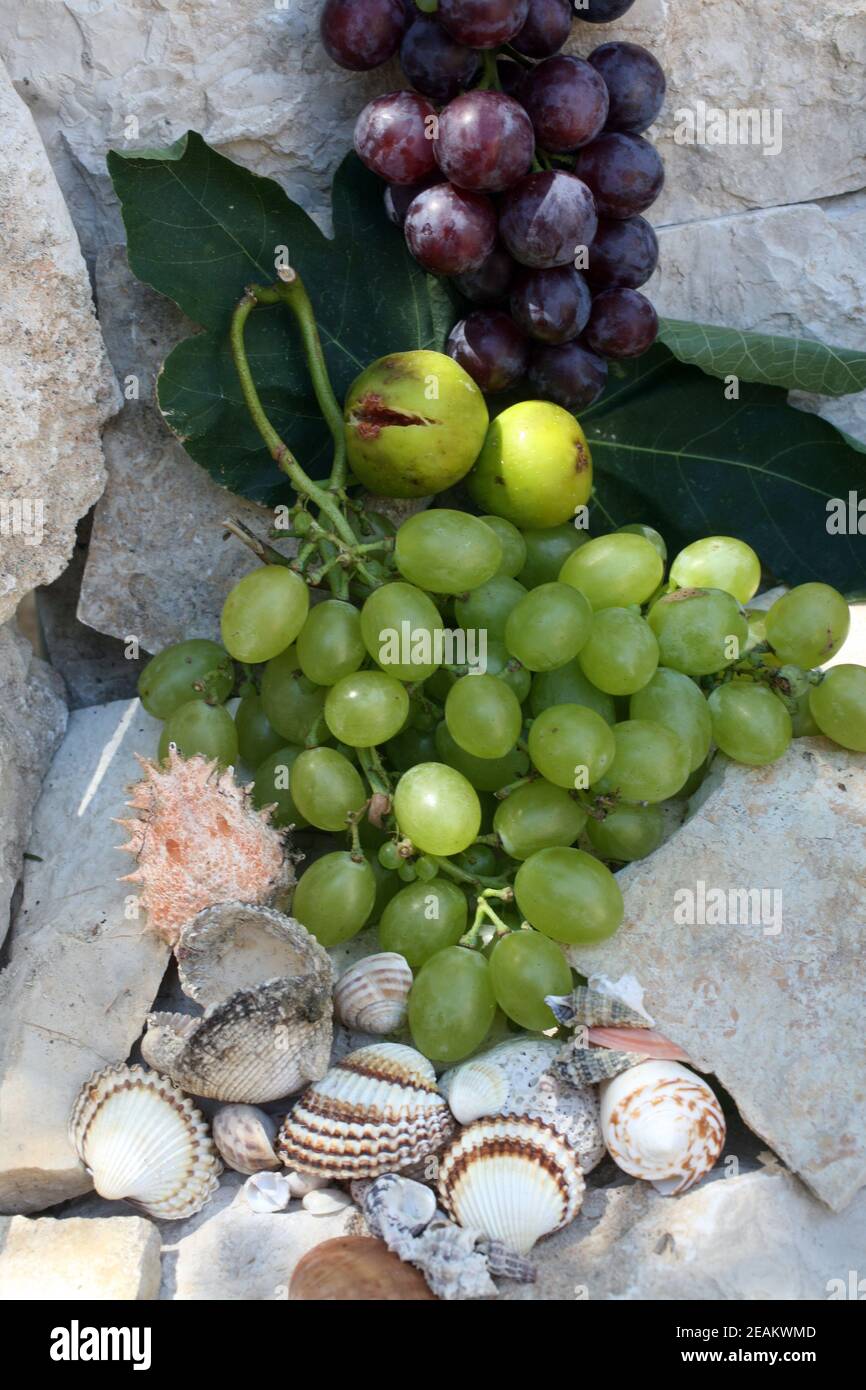 Mediterranean: grapes, figs and shells Stock Photo - Alamy