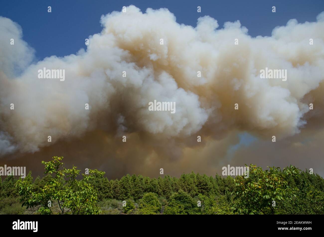 Devastated landscapes hi-res stock photography and images - Alamy