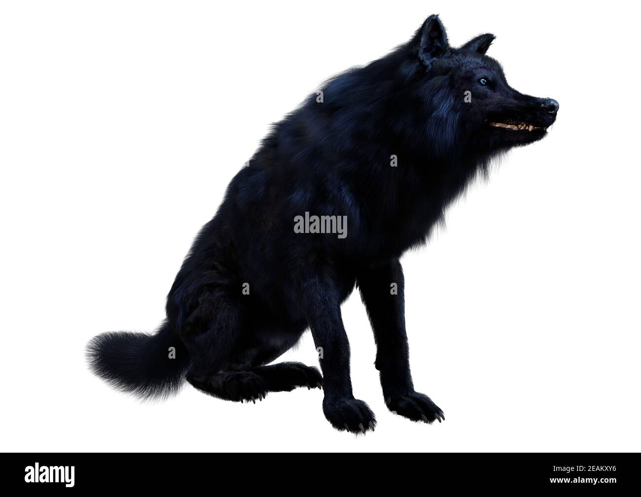 Black wolf 3d hi-res stock photography and images - Alamy