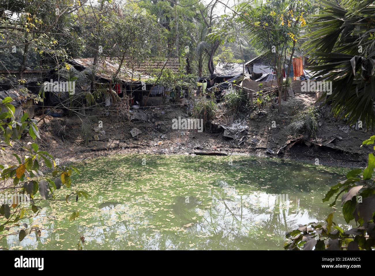 Bengali village Basanti, West Bengal, India Stock Photo - Alamy