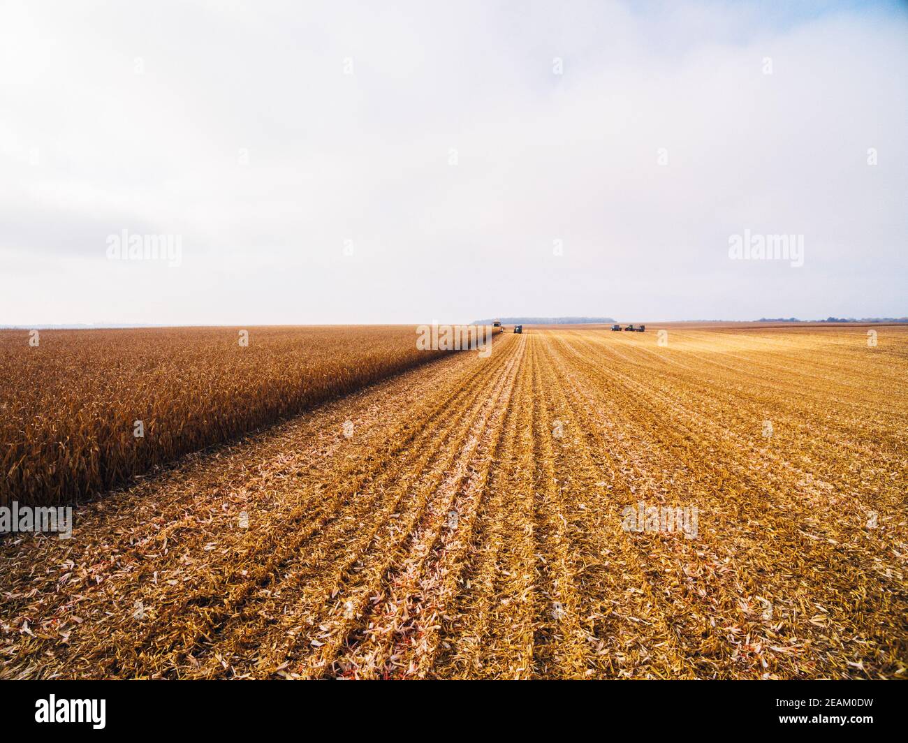 Harvesting work with tractor hi-res stock photography and images - Alamy