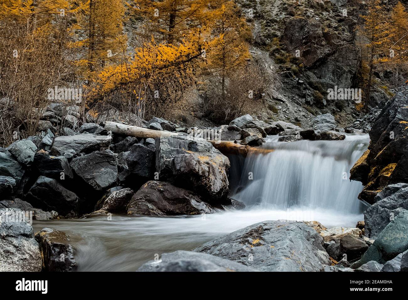 River Rock In Rivers