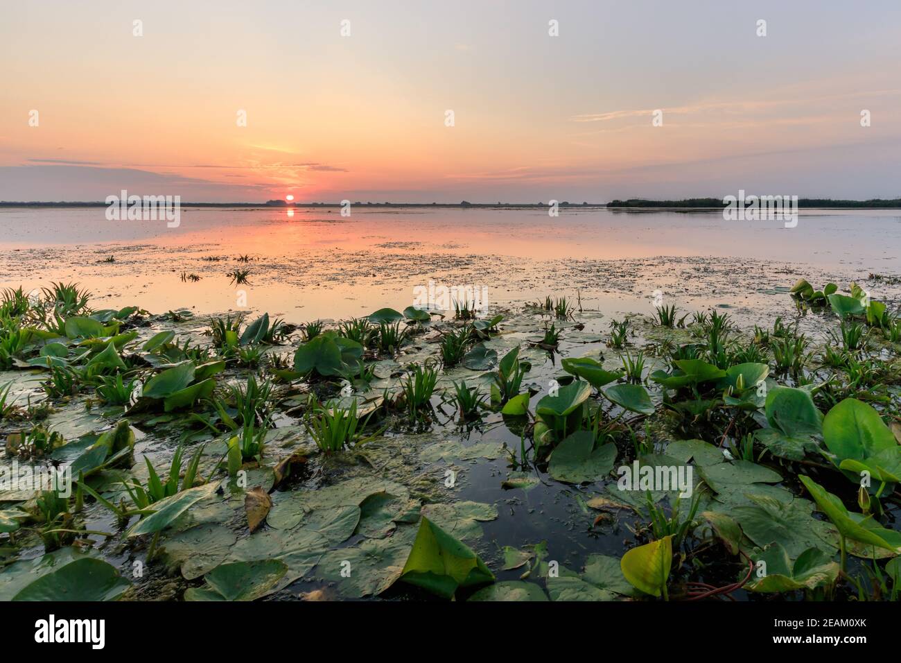 Danube Delta, Romania Stock Photo - Alamy