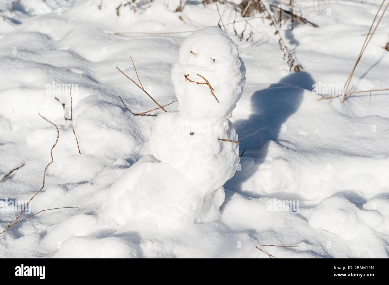 Tiny snowman hi-res stock photography and images - Alamy