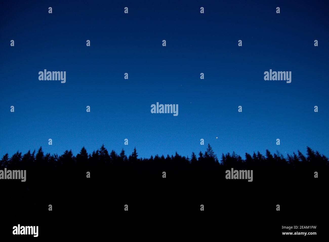 Night sky and silhouette backlit trees and forest. Low view angle of ...