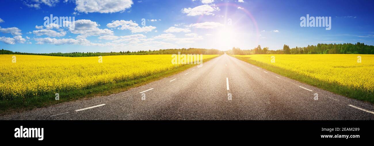 Wide asphalt road to horizon in sunlight hi-res stock photography and ...