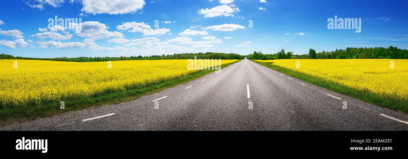 Summer landscape line road hi-res stock photography and images - Alamy