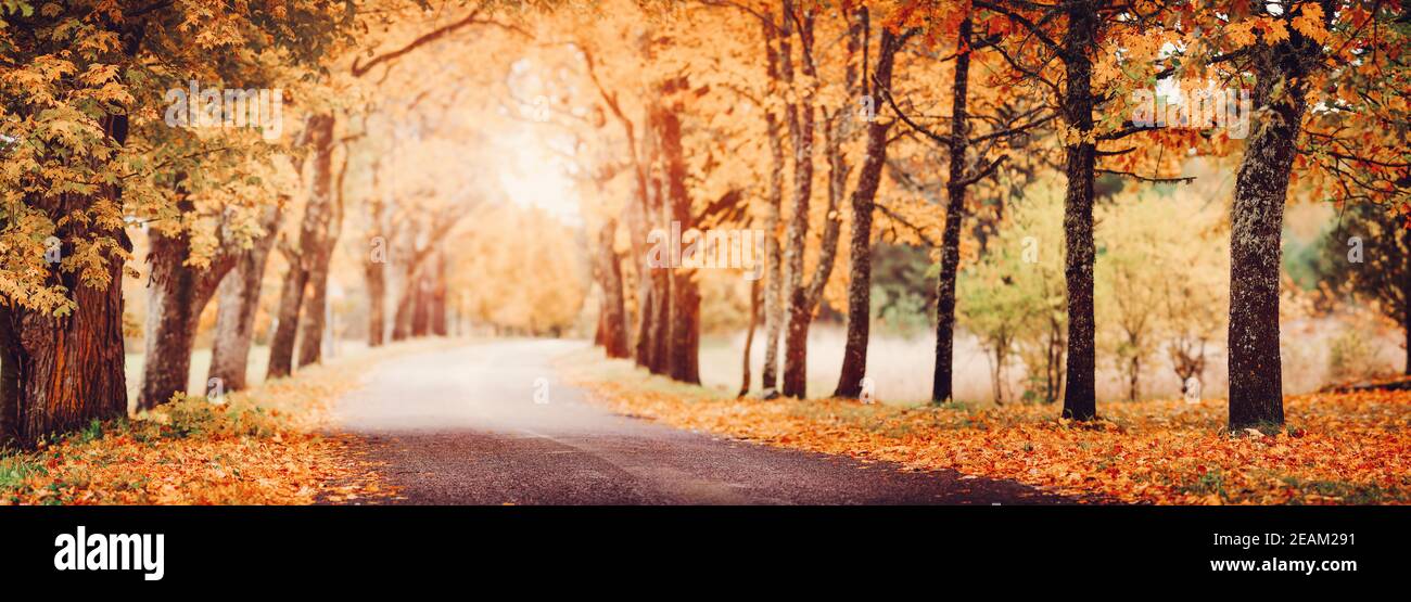 Twitter Headers Fall