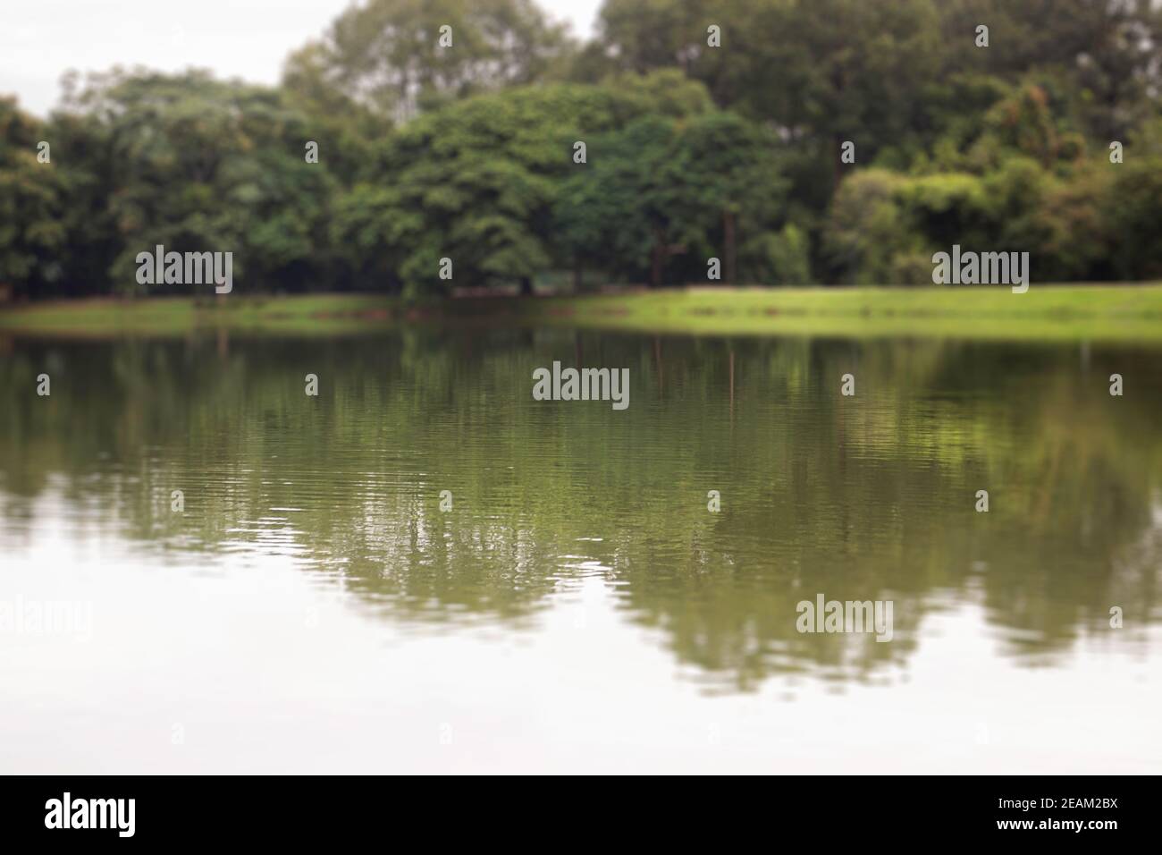 Lake view side relaxing in nature Stock Photo - Alamy
