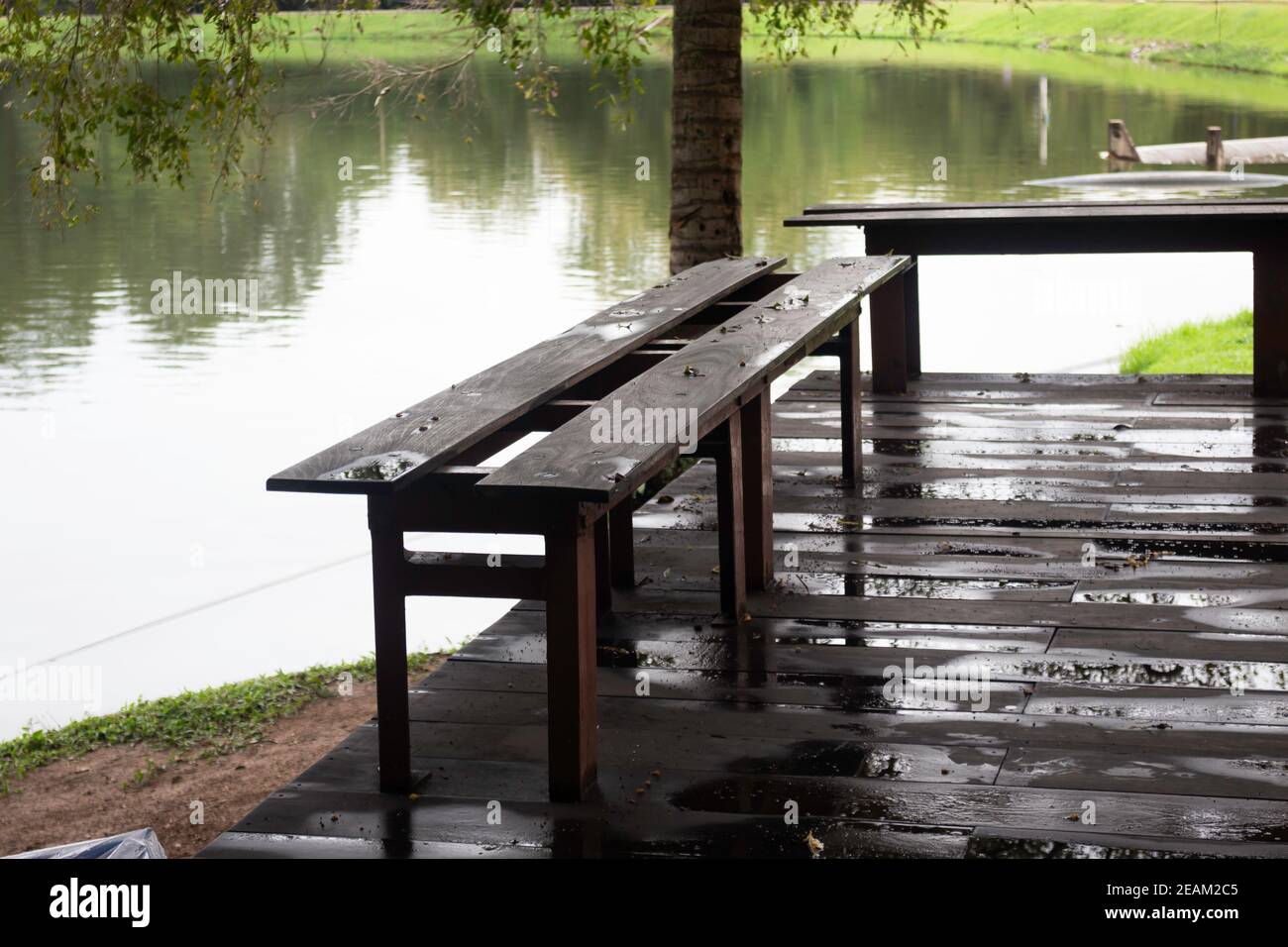 Lake view side relaxing in nature Stock Photo - Alamy