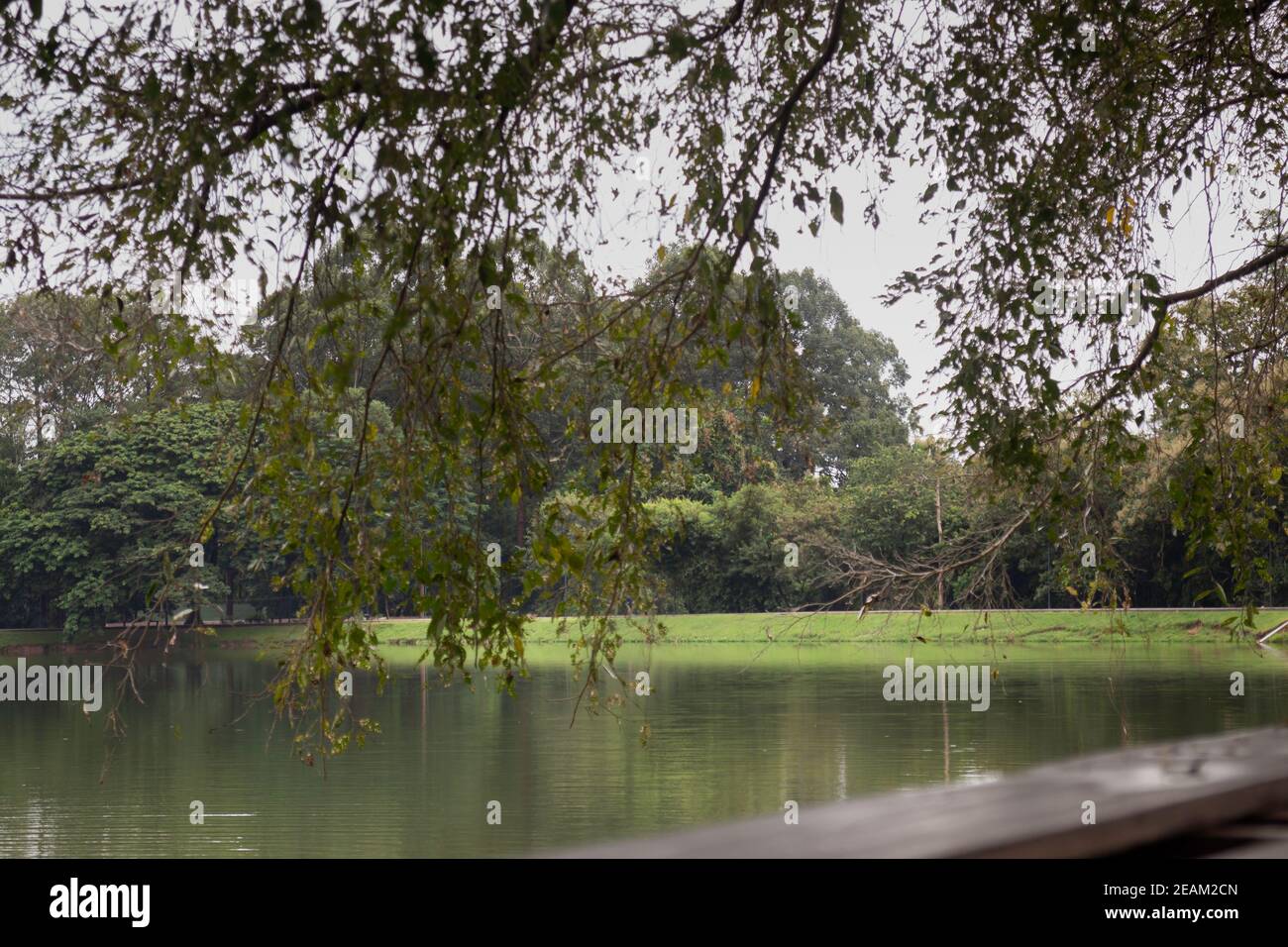 Lake view side relaxing in nature Stock Photo - Alamy