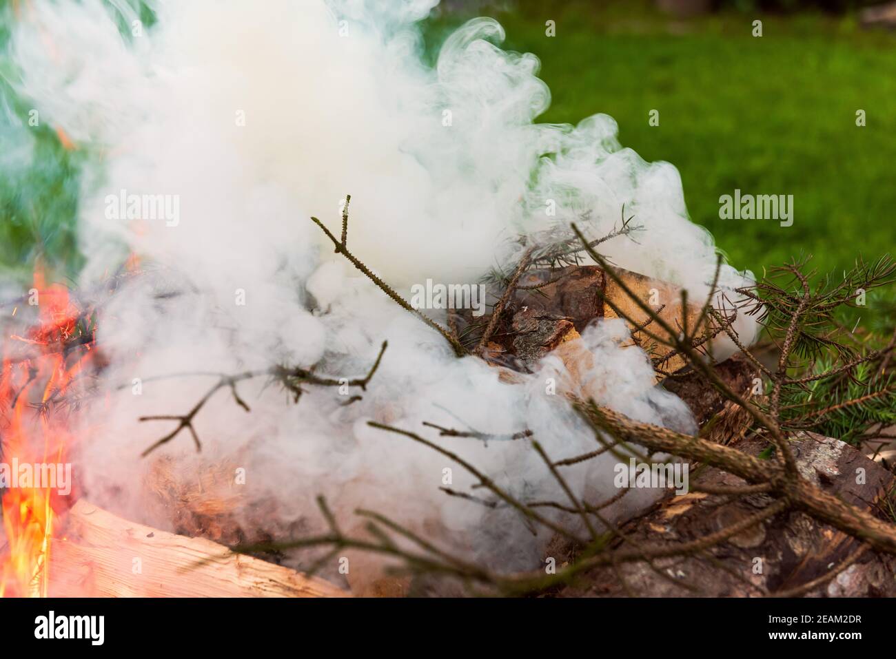 Fire flames and smoke. Bonfire in a forest Stock Photo - Alamy