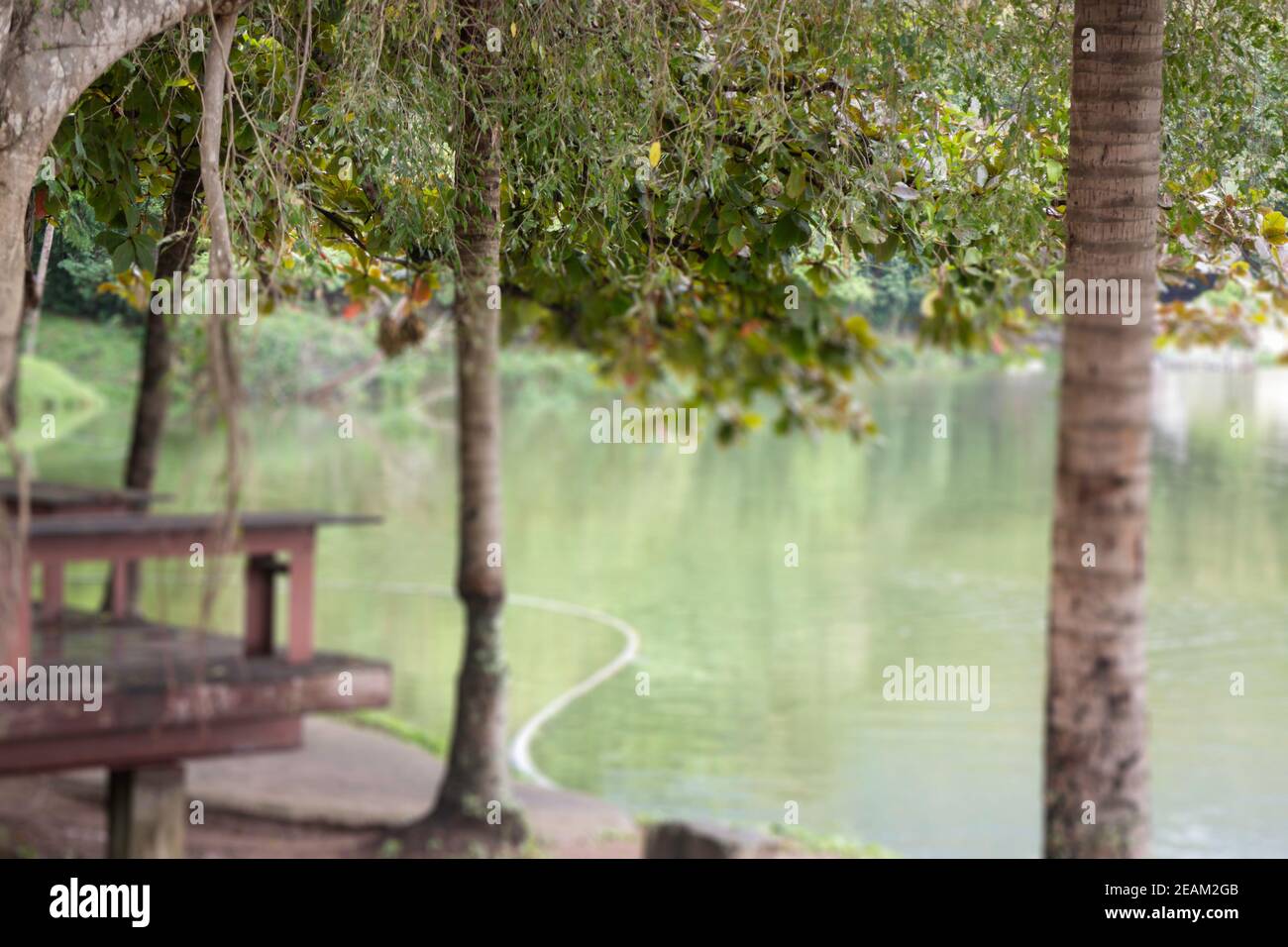 Lake view side relaxing in nature Stock Photo - Alamy