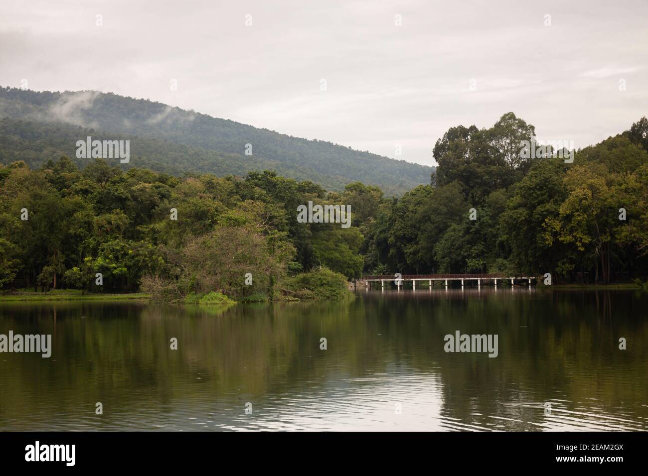 Tree landscape with nature hi-res stock photography and images - Alamy