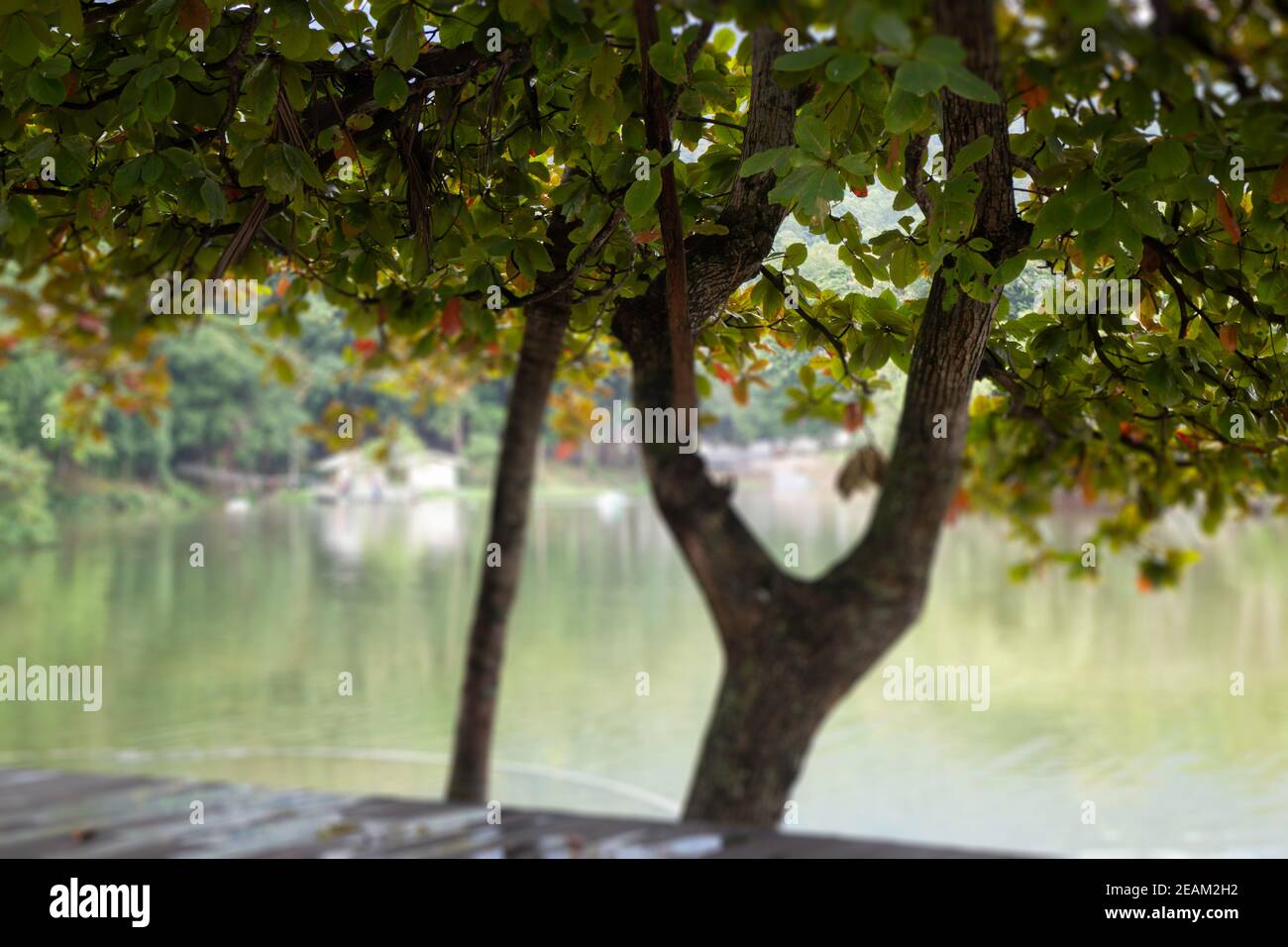 Lake view side relaxing in nature Stock Photo - Alamy