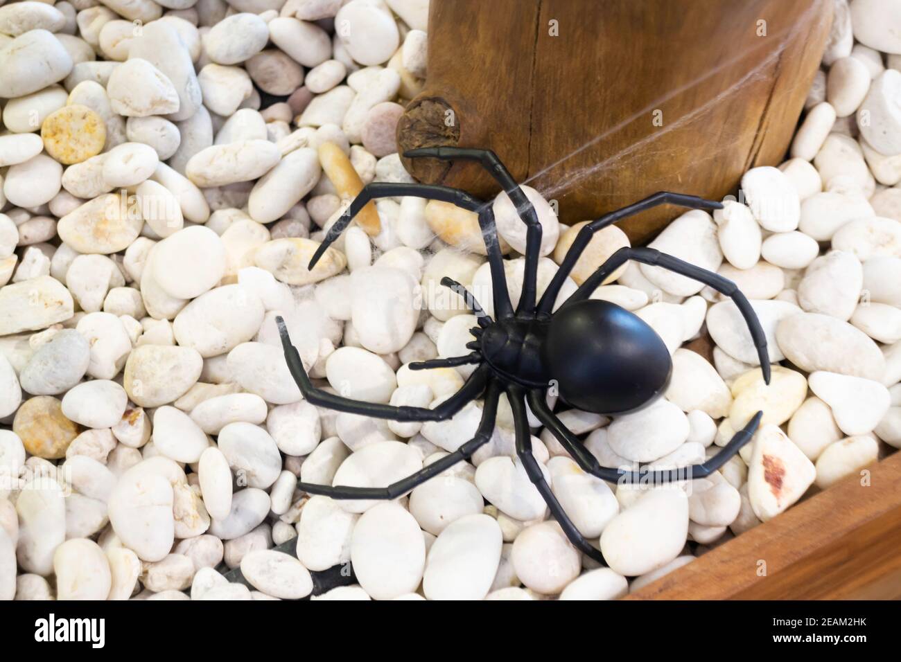Black clockwork plastic toy spider Stock Photo - Alamy