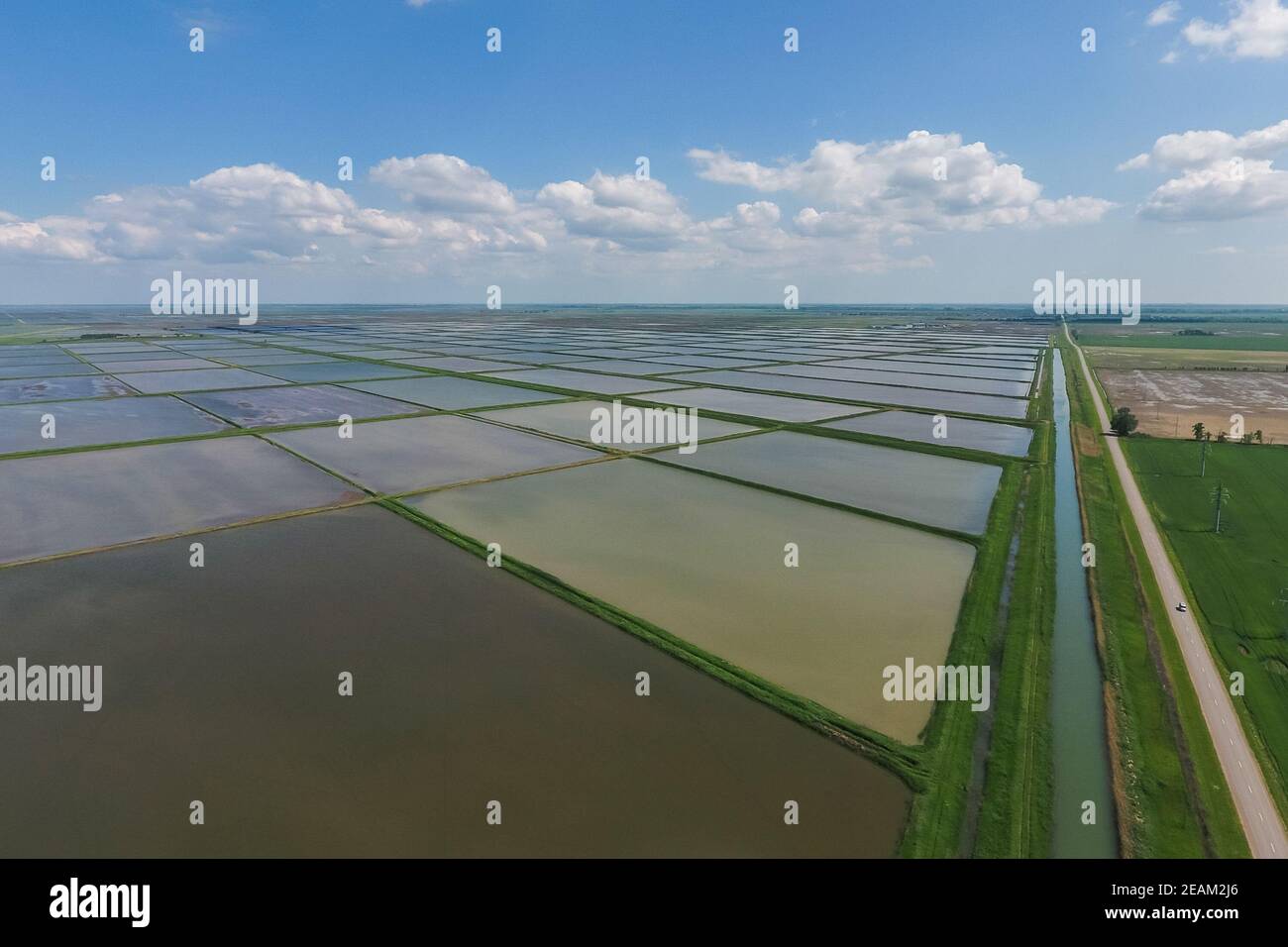 Flooded rice paddies. Agronomic methods of growing rice Stock Photo - Alamy