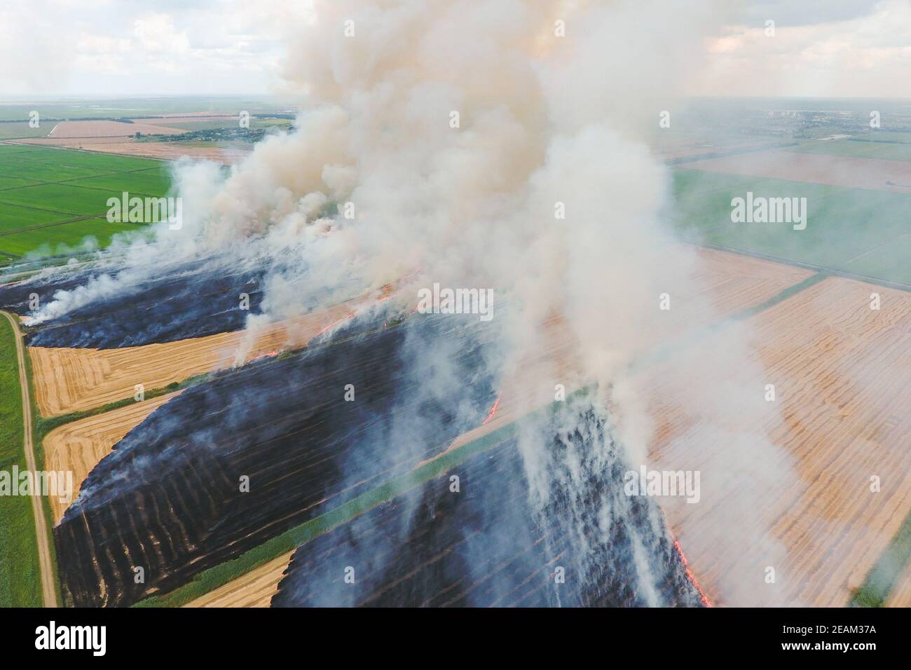 Fire in field after wheat hi-res stock photography and images - Alamy