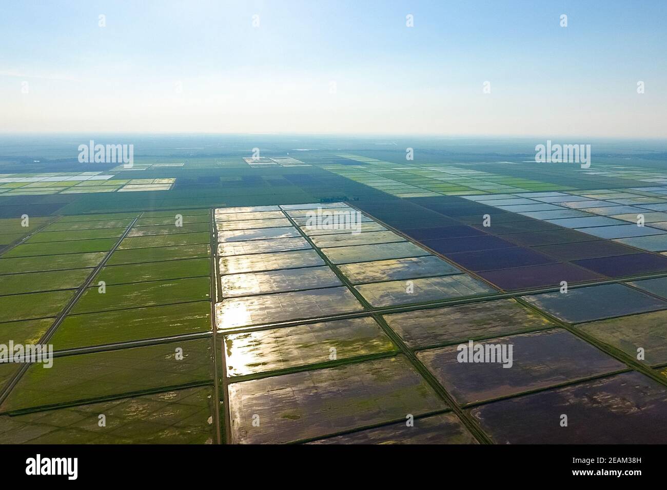 The rice fields are flooded with water. Landscape in front of the sun ...