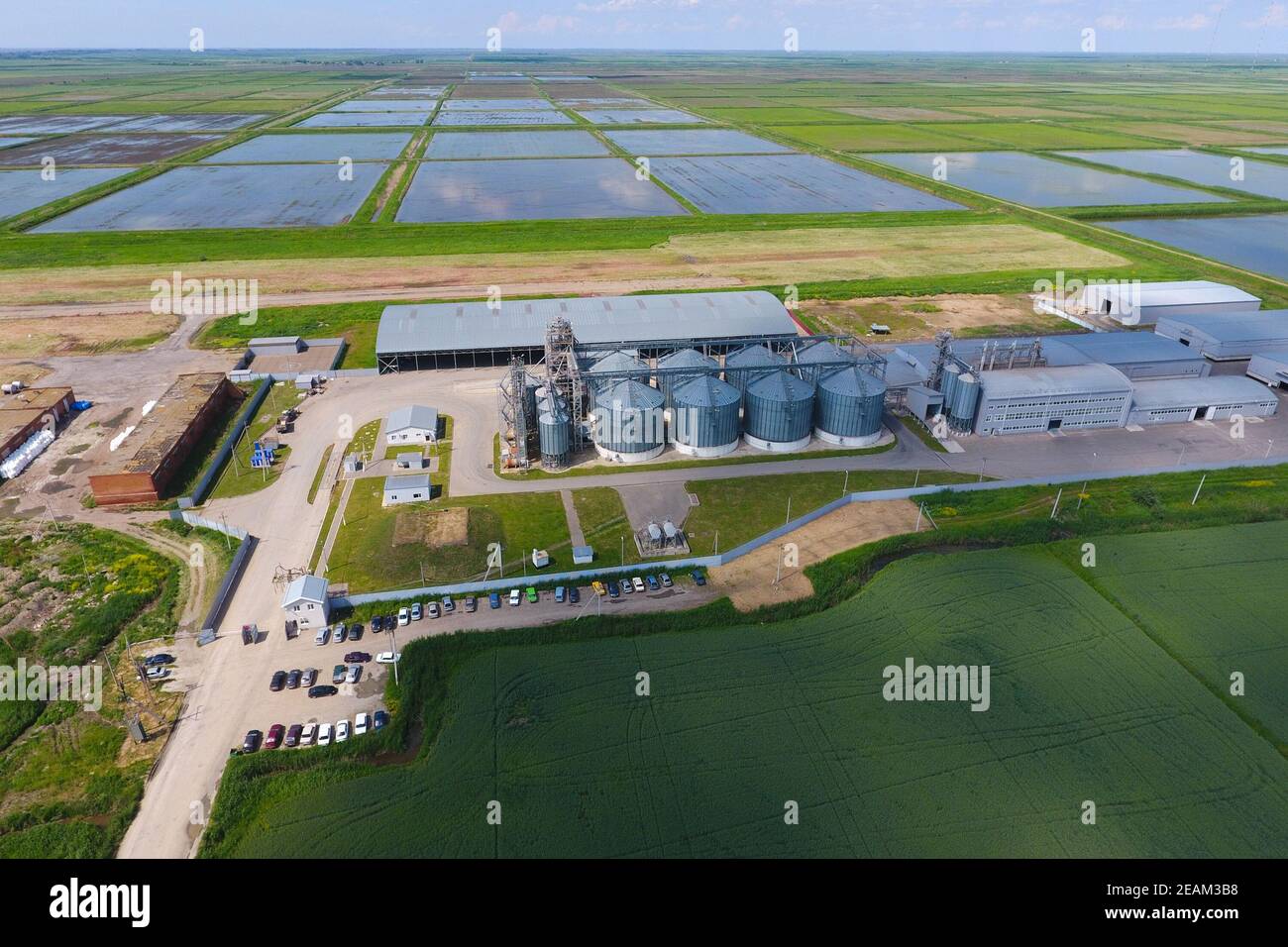 Plant for the drying and storage of grain. Top view. Grain terminal ...
