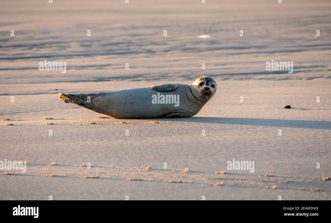 Banana lake hi-res stock photography and images - Alamy