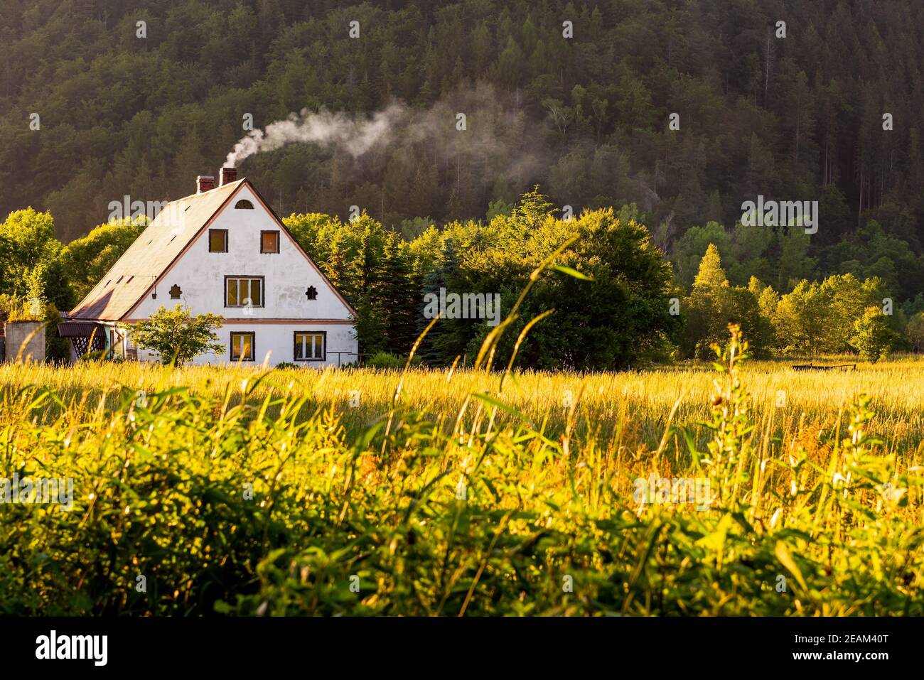 Rural view, a traditional polish country cottage house with smoke from ...