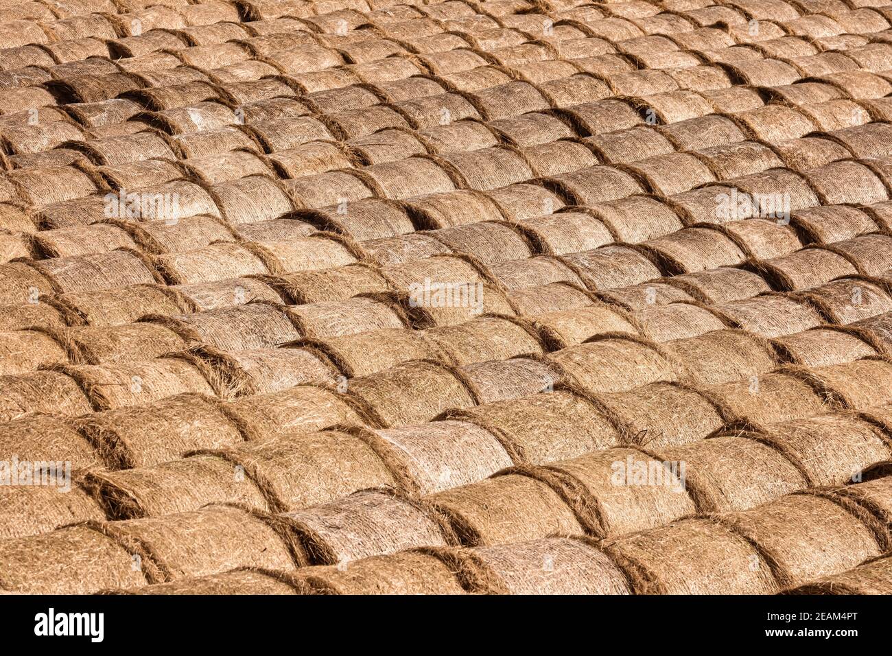 A lot of stacks of hay Stock Photo - Alamy