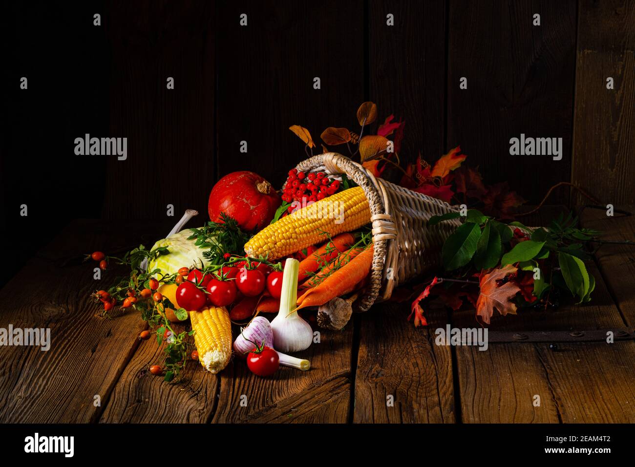 Cornucopia horn plenty symbol hi-res stock photography and images - Alamy