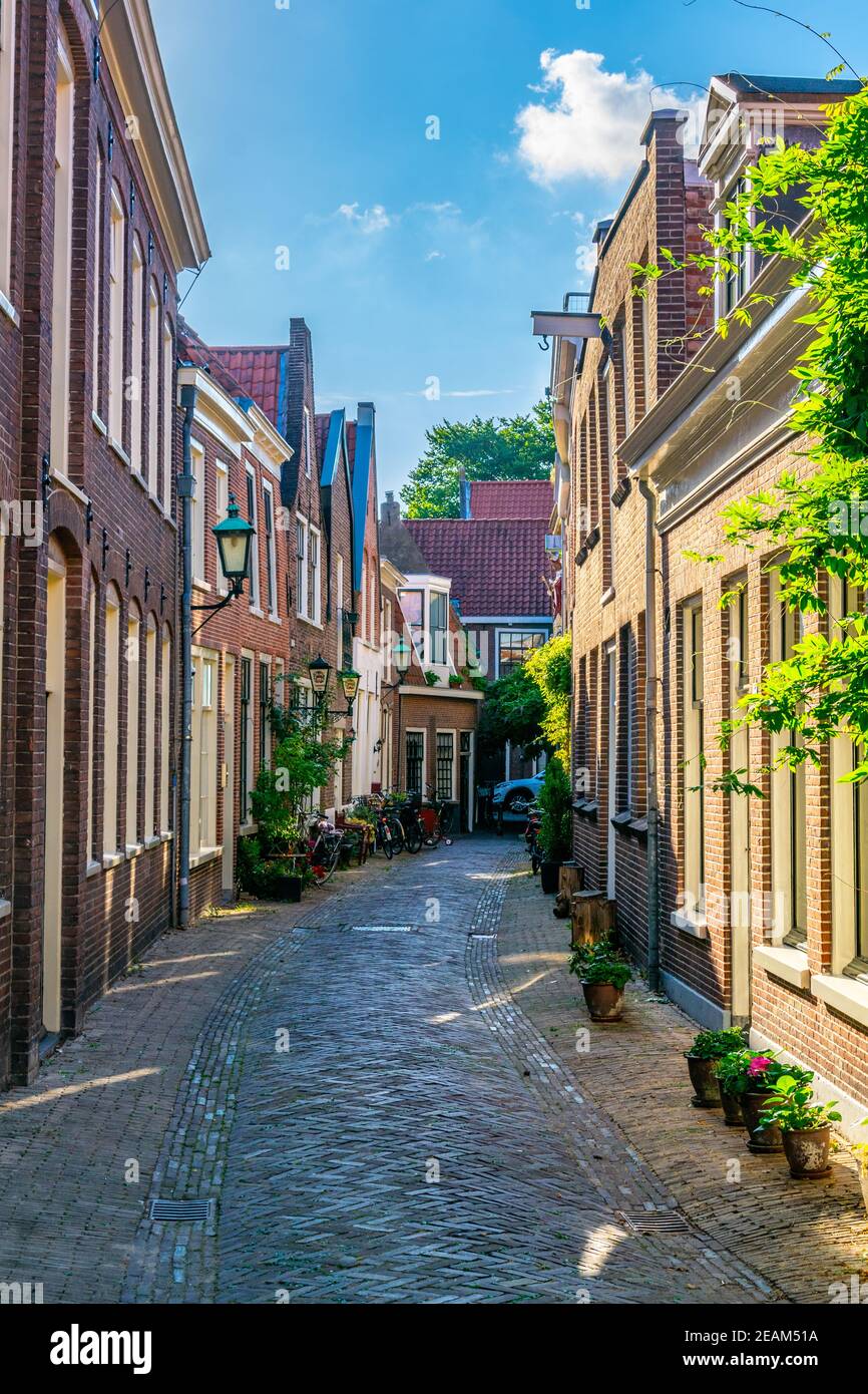 Classical red brick houses situated alongside Groot Heiligland street ...