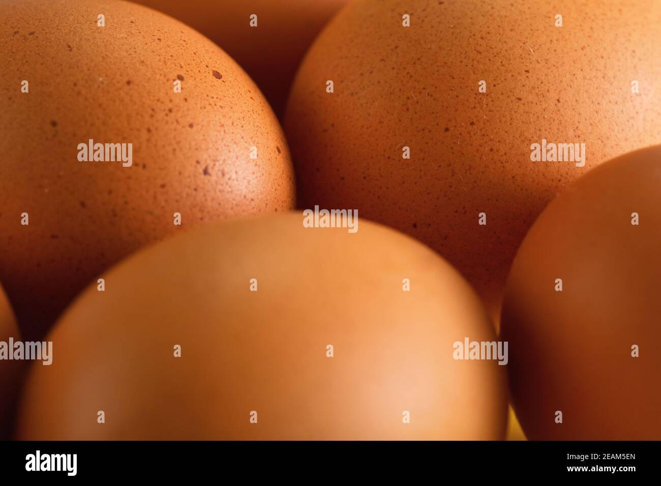 Egg shell texture hi-res stock photography and images - Alamy