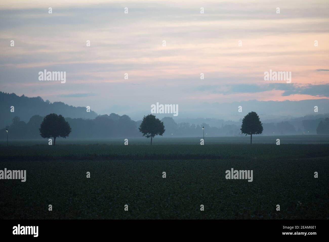 Chaussee street hi-res stock photography and images - Alamy