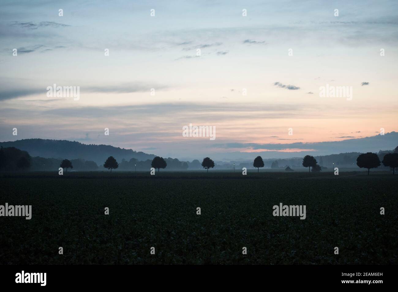 Chaussee street hi-res stock photography and images - Alamy