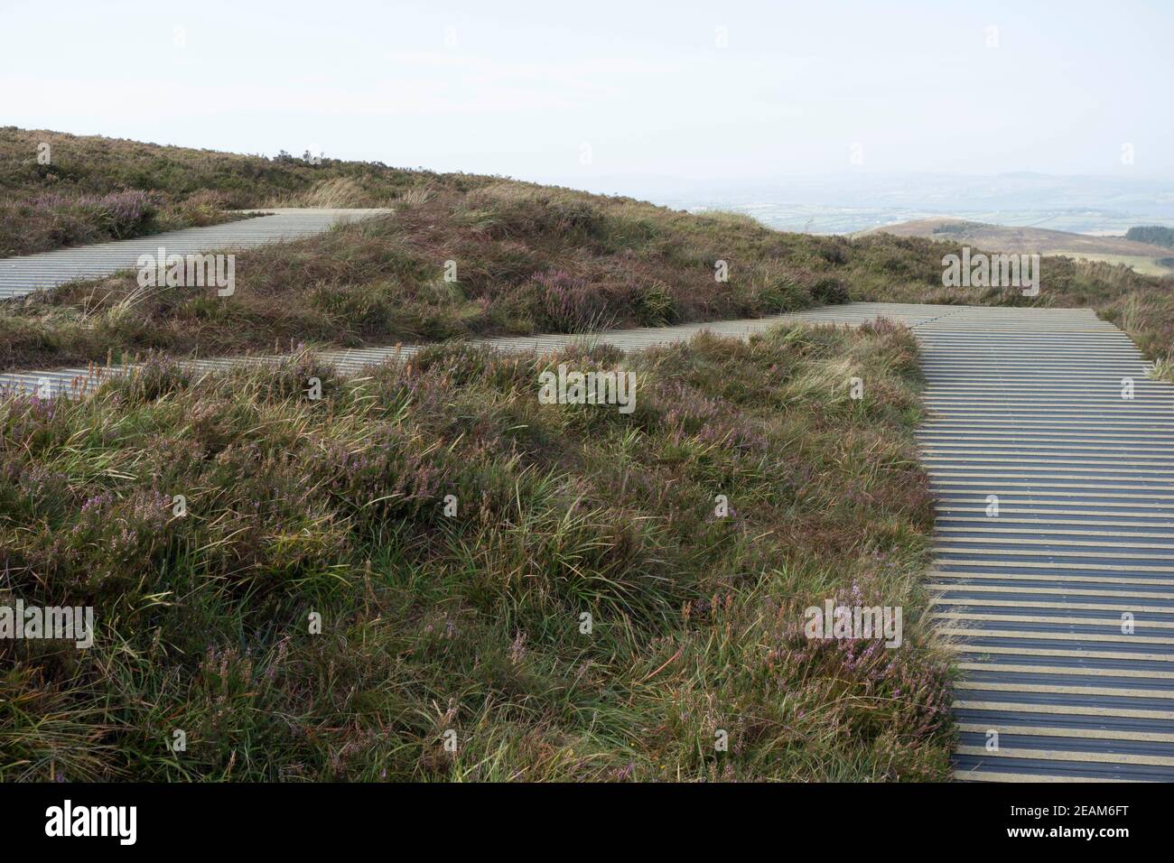 Mule Track High Resolution Stock Photography and Images - Alamy