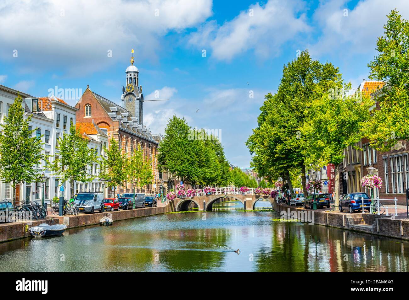 University of leiden hi-res stock photography and images - Alamy
