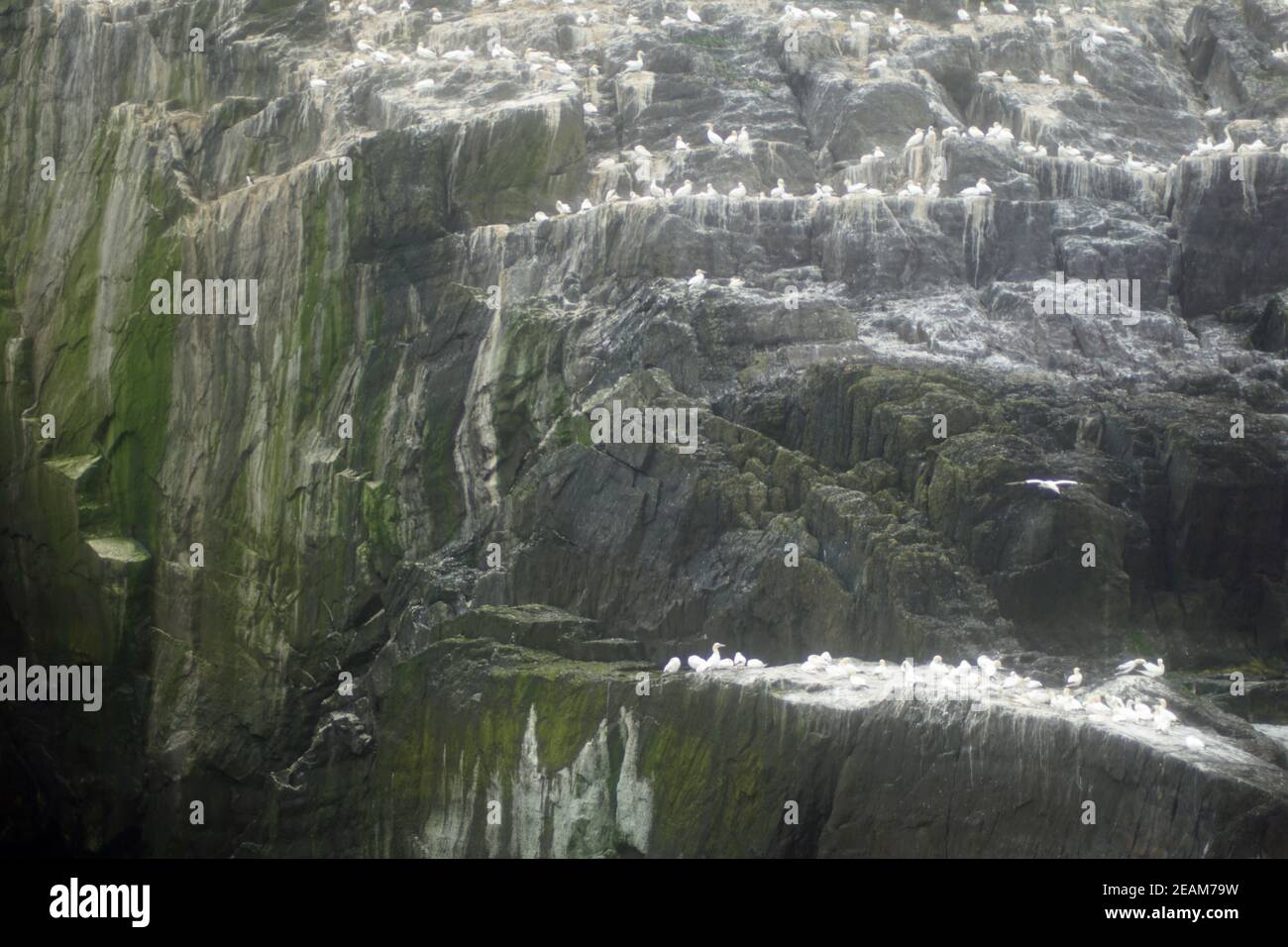 Skellig Michael Ireland Stock Photo - Alamy